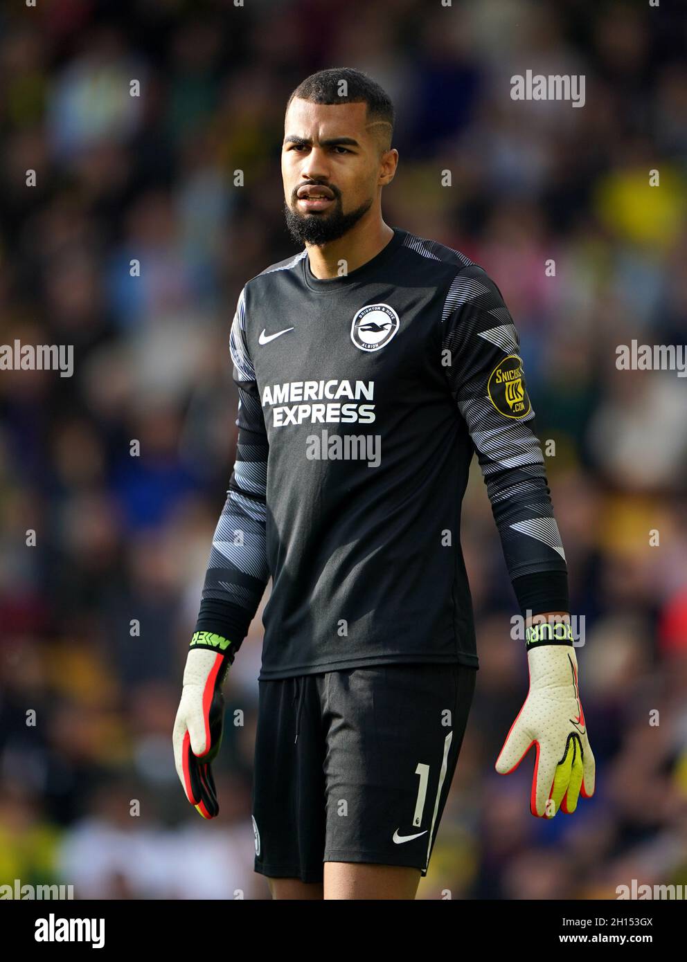 Brighton and Hove Albion goalkeeper Robert Sanchez during the Premier ...