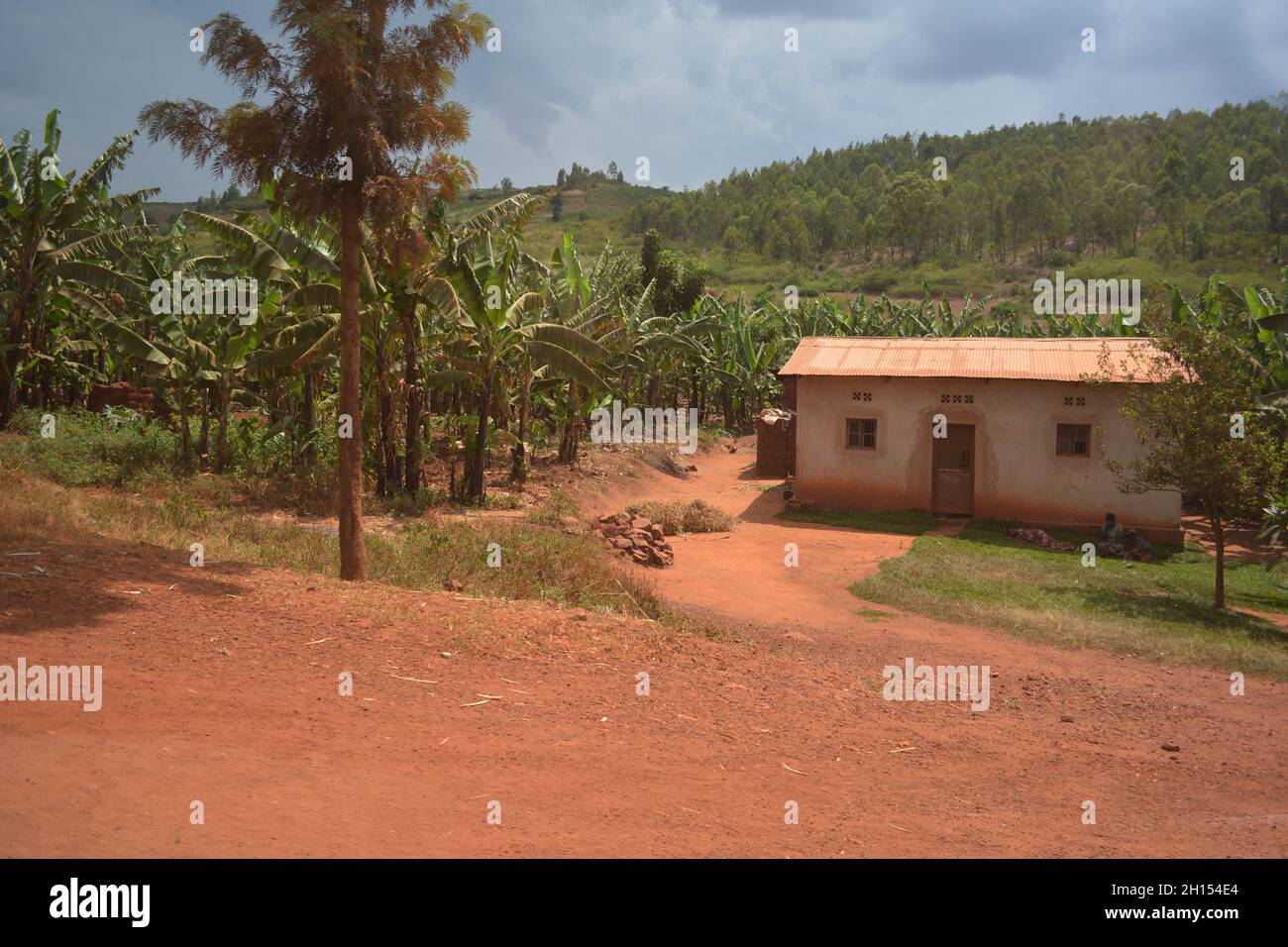 Traditional rural house in Rwanda, East Africa Stock Photo - Alamy