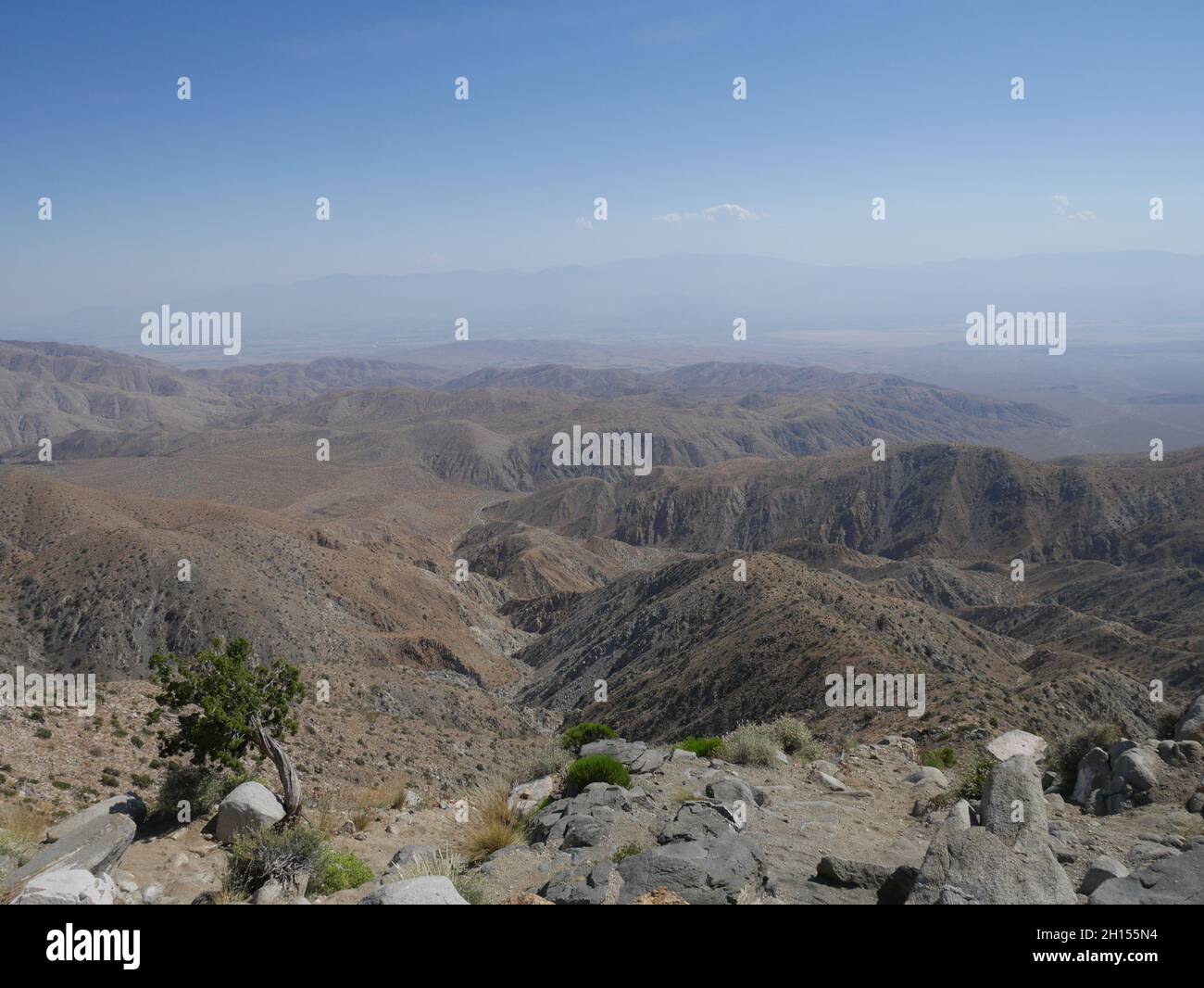 Aerial view of the Joshua Tree National Park in California Stock Photo ...