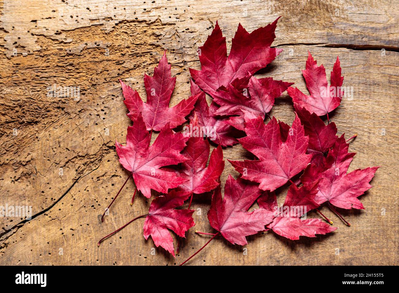 Background: red colored maple leafs on rustic oak table Stock Photo - Alamy