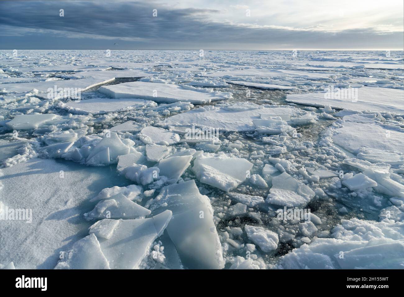 Broken pieces of Arctic sea ice north of Svalbard, Norway Stock Photo ...