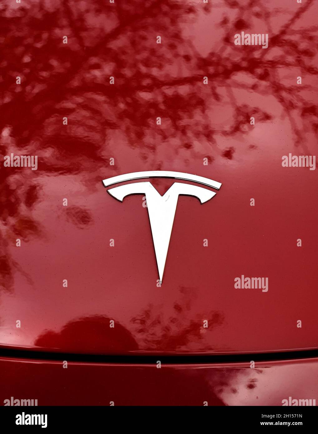 A chrome Tesla logo on the hood of a red Tesla electric vehicle parked ...