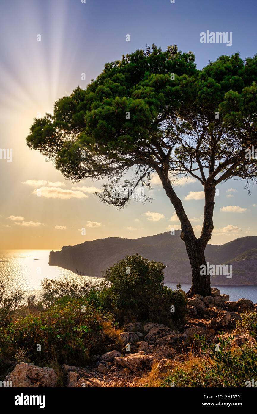 Beautiful image mallorca coast hi-res stock photography and images - Alamy