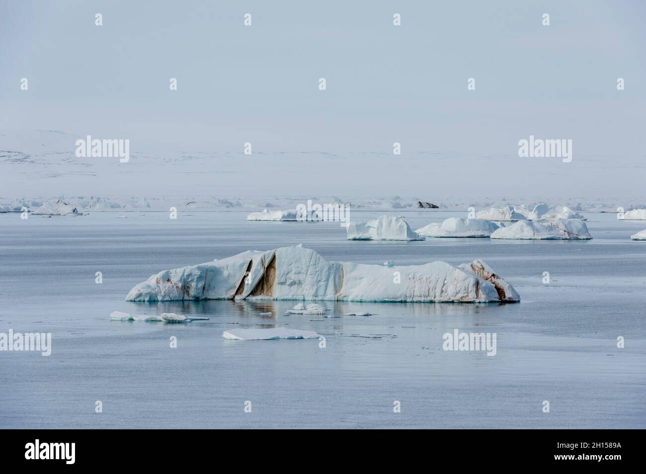 An iceberg field. Nordaustlandet, Svalbard, Norway Stock Photo - Alamy