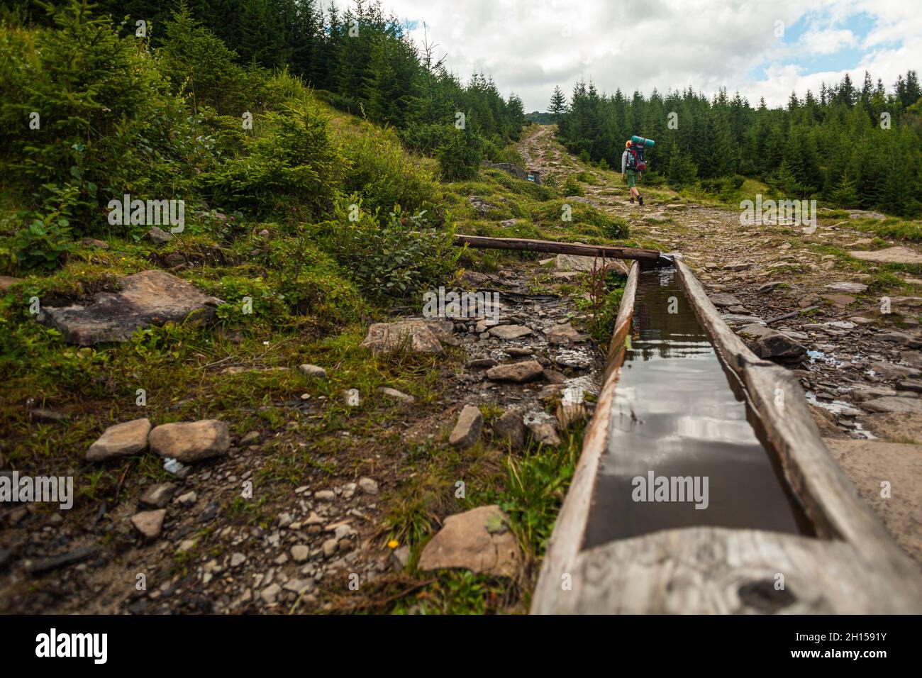 A long, narrow open container for animals to eat or drink out of ...