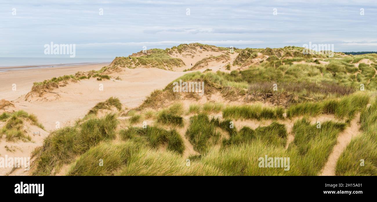 A multi image panorama of the the sand dunes which line Formby beach ...