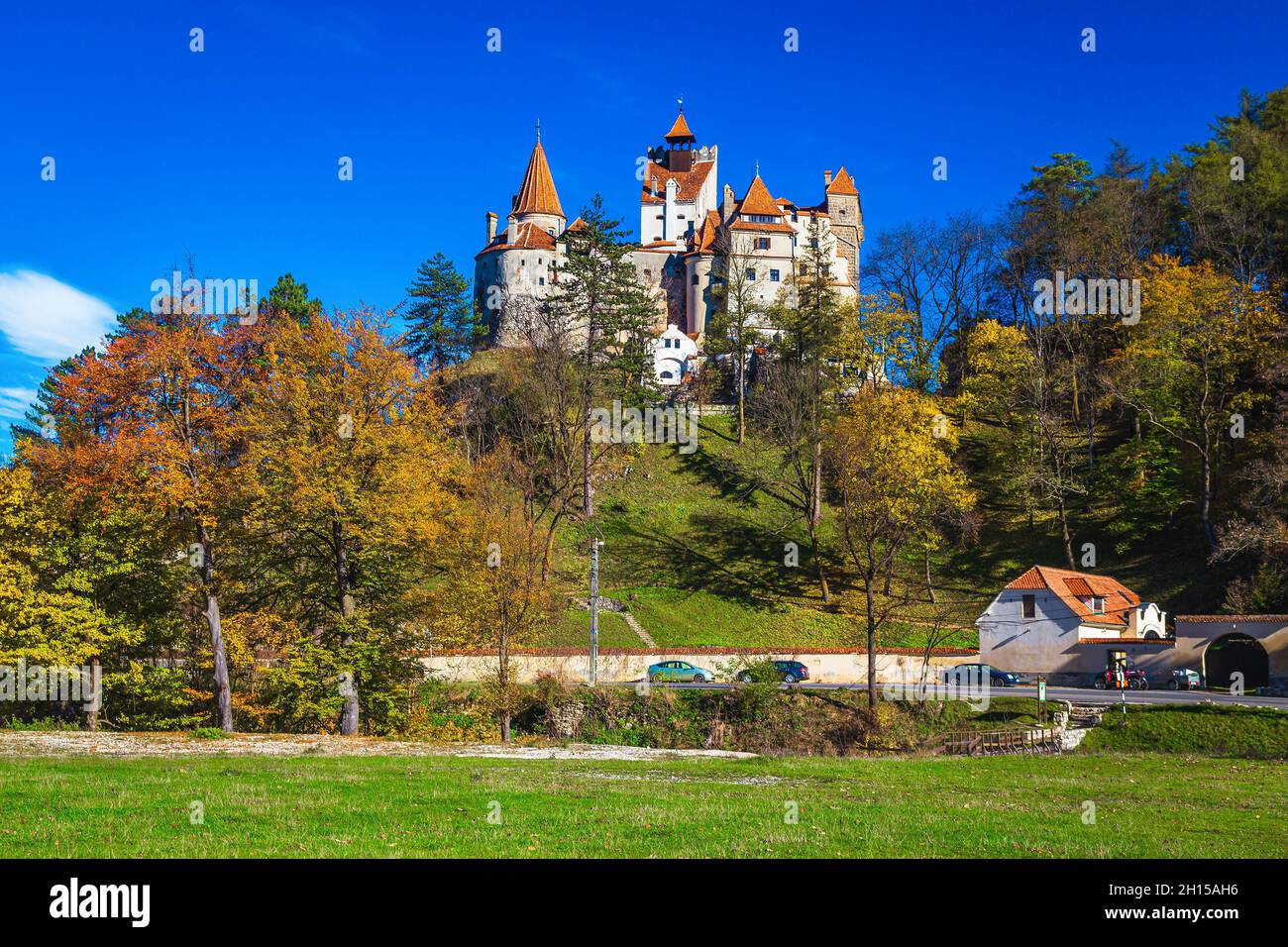 Bran Castle Romania Trees