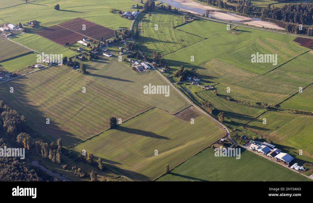 Aerial View of green Farm Field in Fraser Valley Stock Photo - Alamy