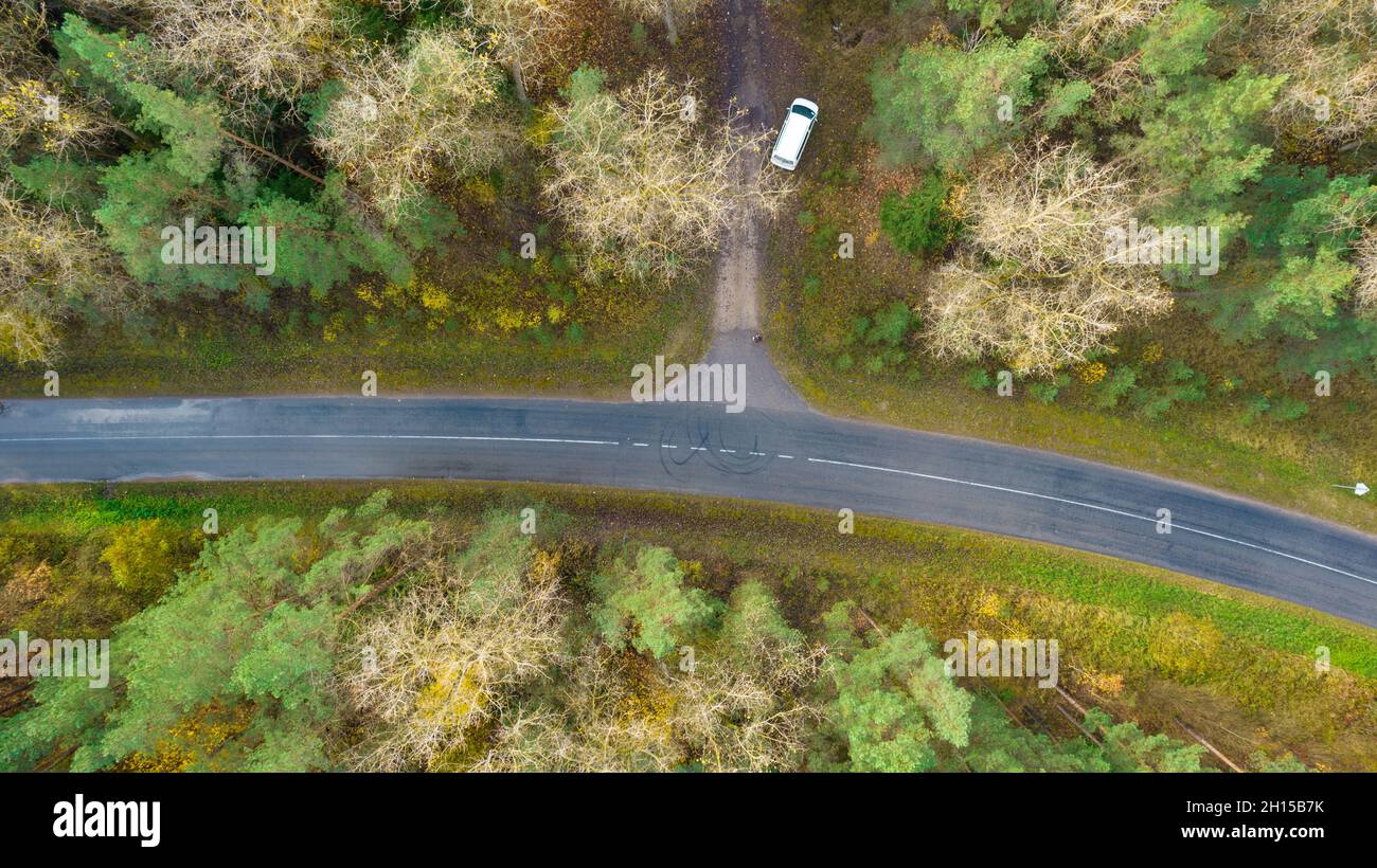 Top view of forests, trees. Old woods of evergreen trees in national ...