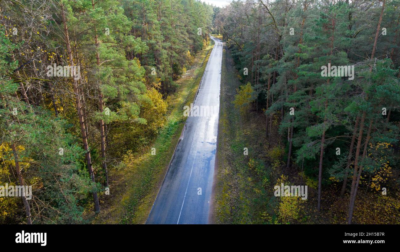 Top view of forests, trees. Old woods of evergreen trees in national ...