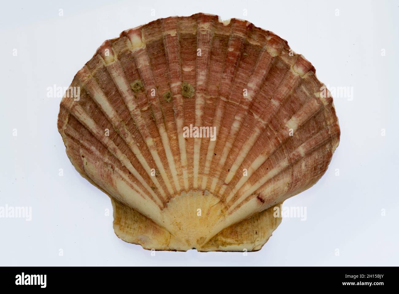 Shell shelters hi-res stock photography and images - Alamy
