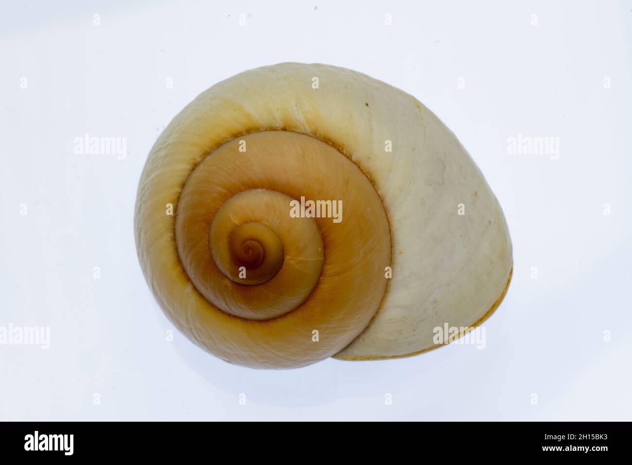 Shell shelters hi-res stock photography and images - Alamy