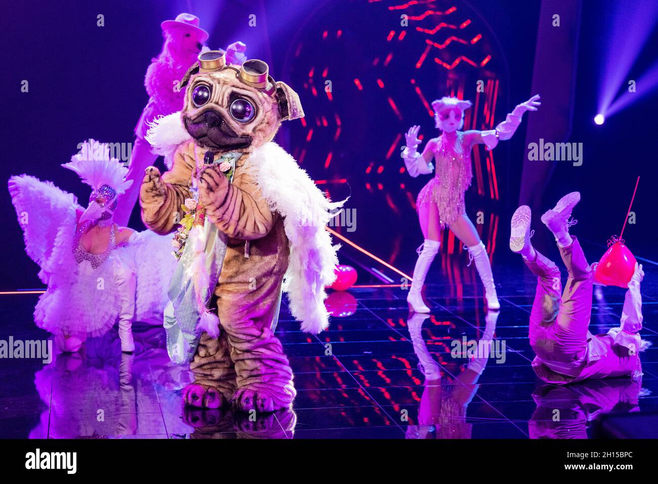 Cologne, Germany. 16th Oct, 2021. The character "The Pug" is on stage ...
