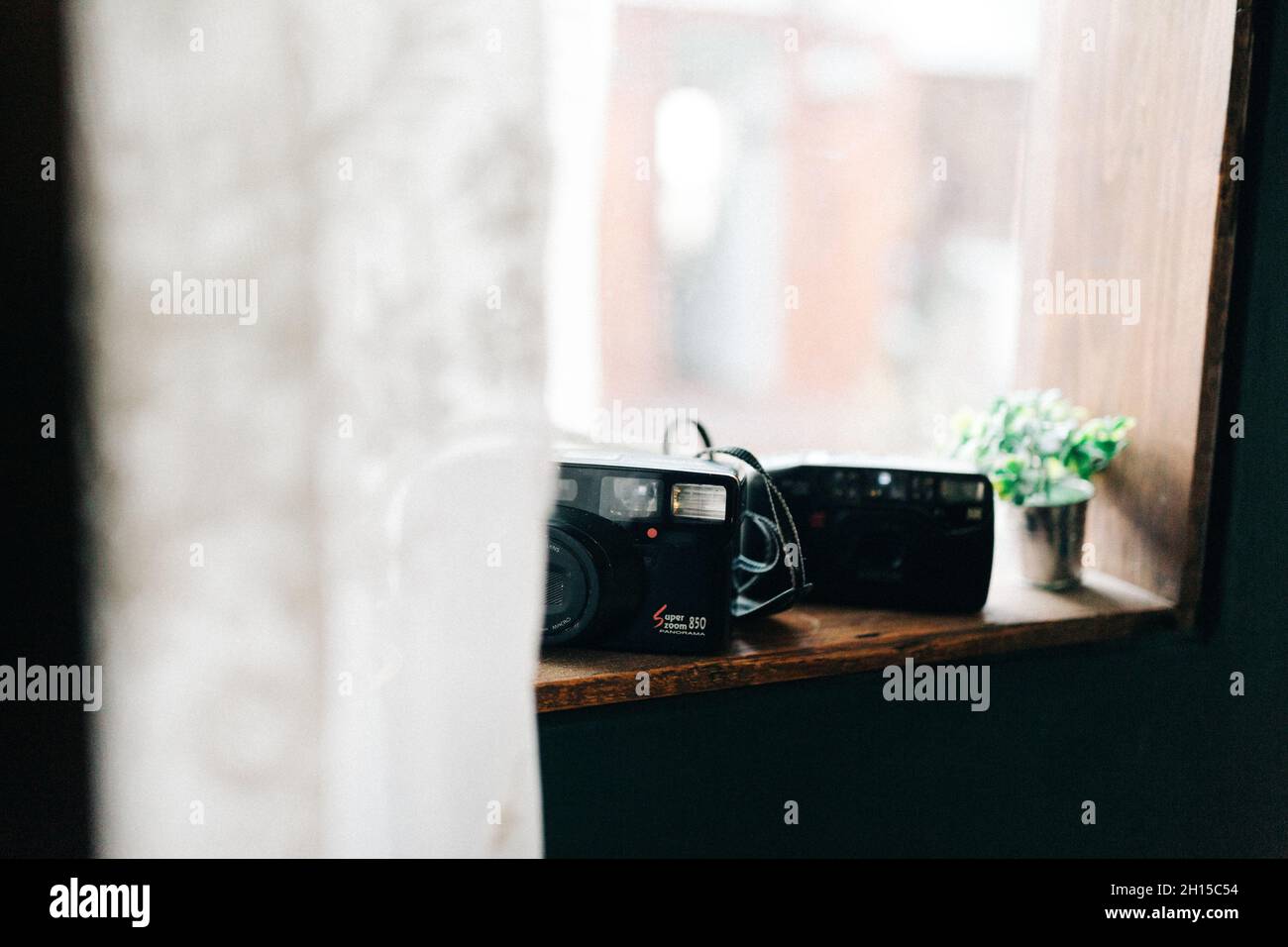 Camera Photography Tumblr Flowers