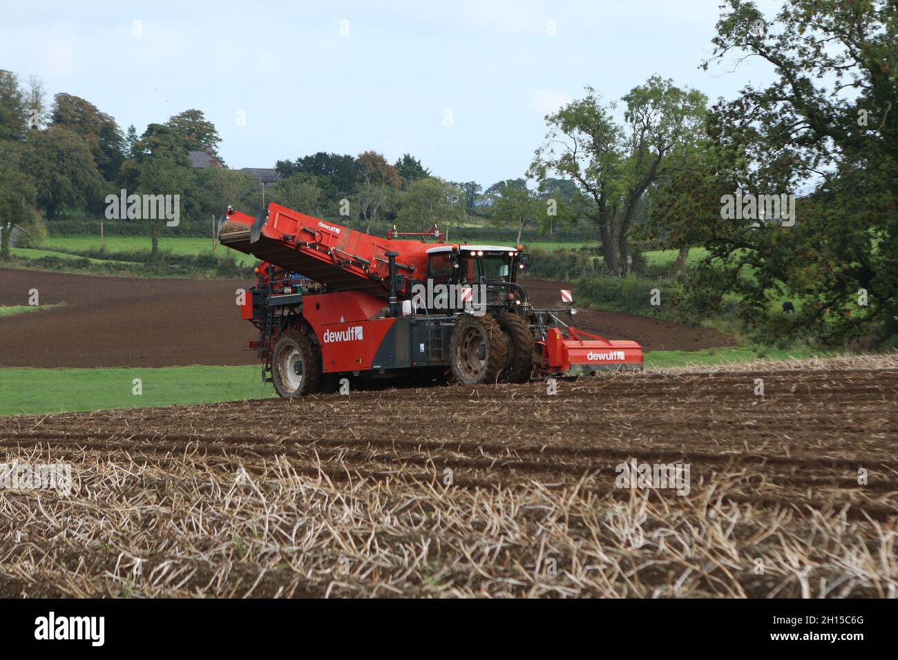Potato farm ireland hi-res stock photography and images - Alamy