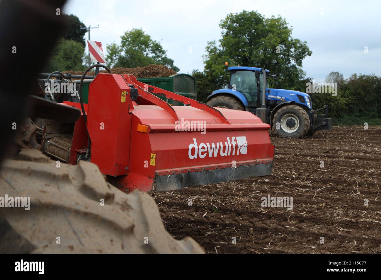 The potato topper at the front of a Dewulf RCA3060 harvester Stock ...