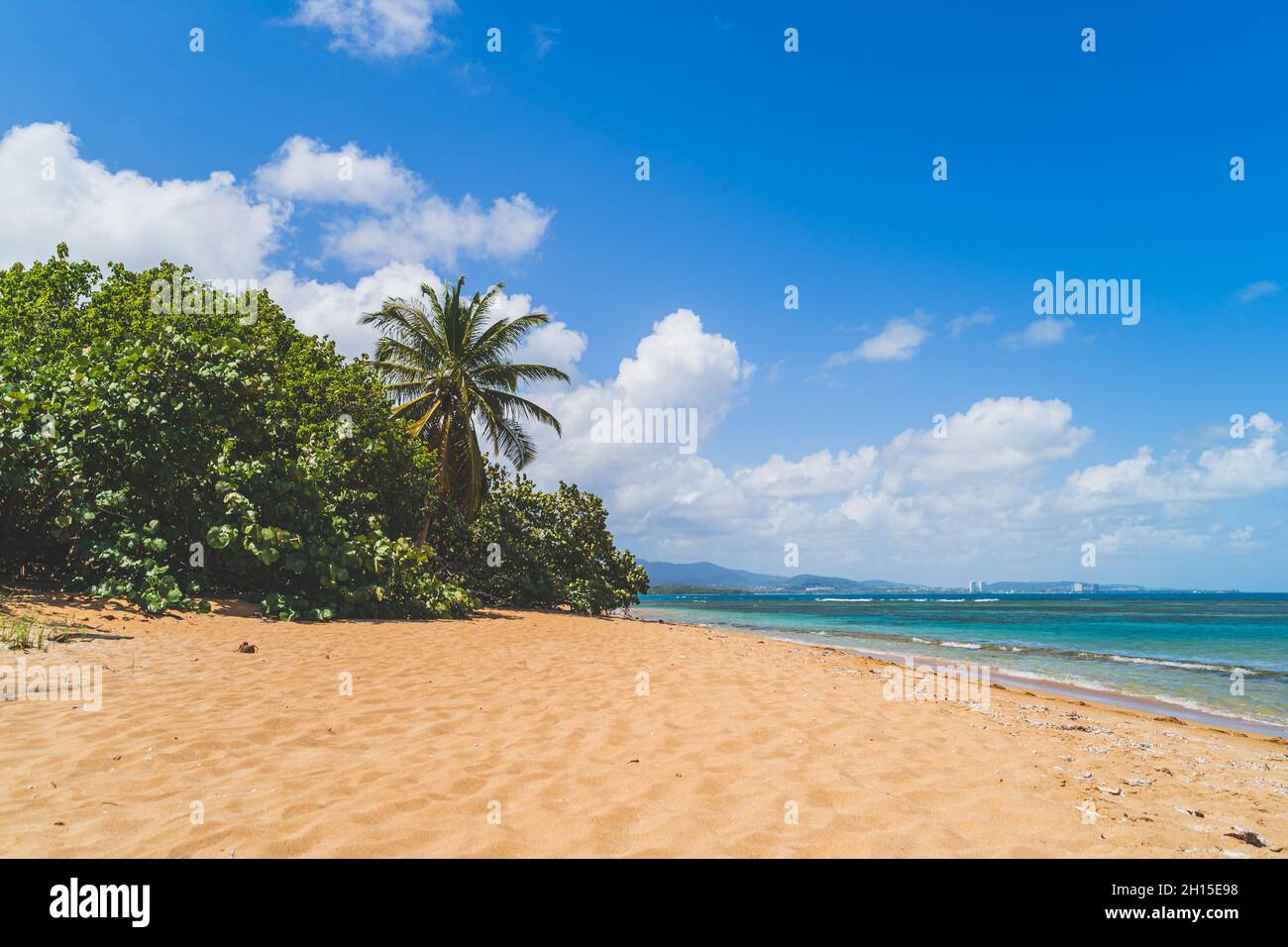 Hidden beach in Puerto Rico with Palm trees and turquoise waters Stock ...