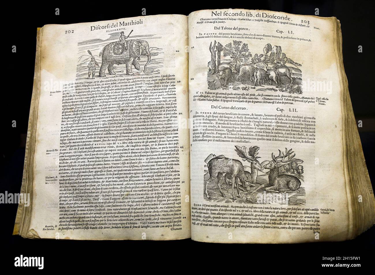Ancient apothecary text hi-res stock photography and images - Alamy