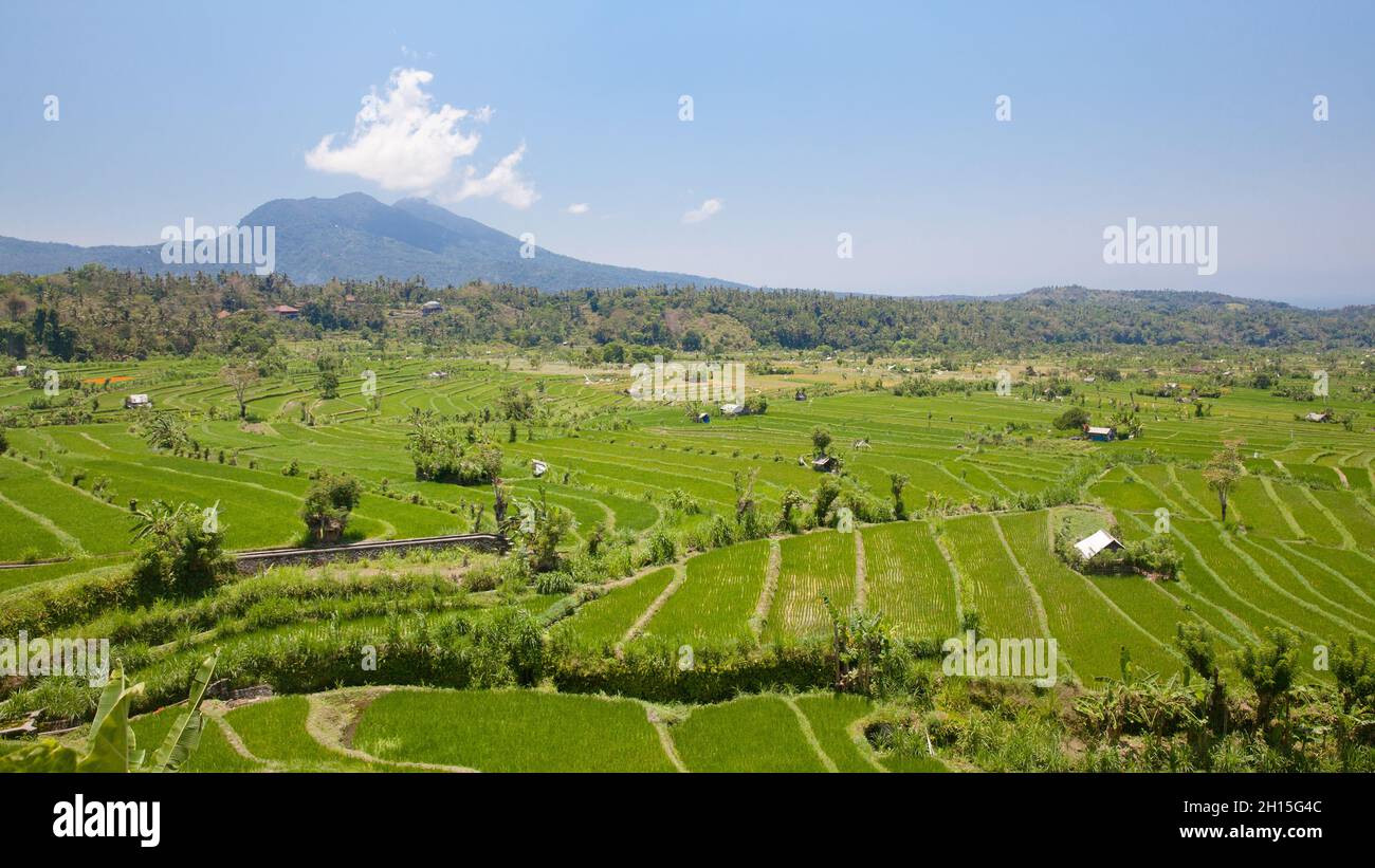 Beautiful landscape, rice fields and mountains. terrace rice fields ...