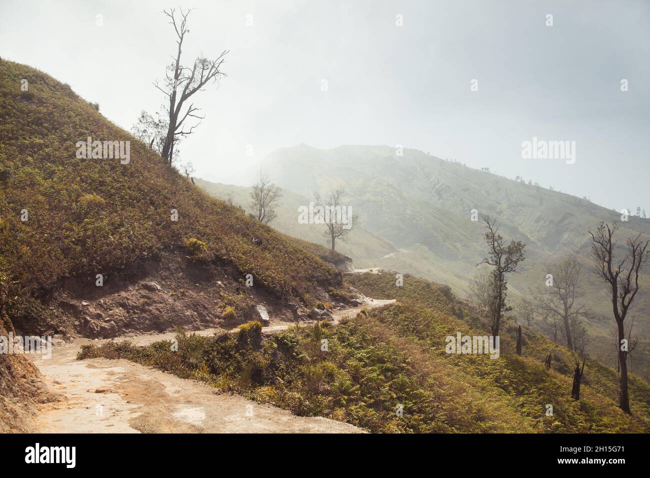 Mystical mountain landscape with dried trees. Mountains and burnt trees ...