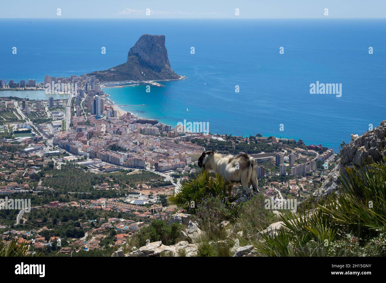 Sea goat hi-res stock photography and images - Alamy