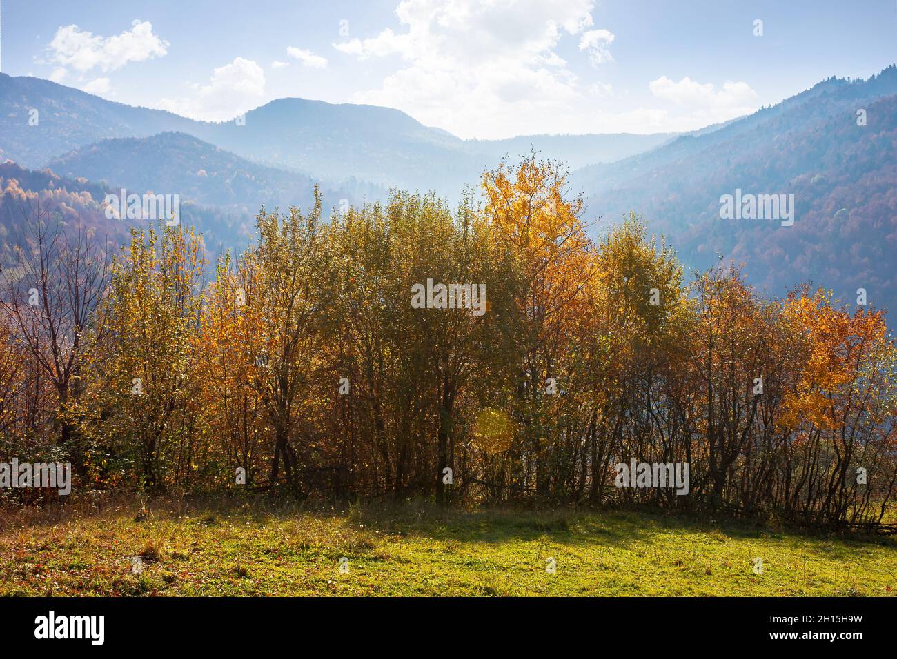 countryside landscape in autumn. forest on the mountain hills in ...