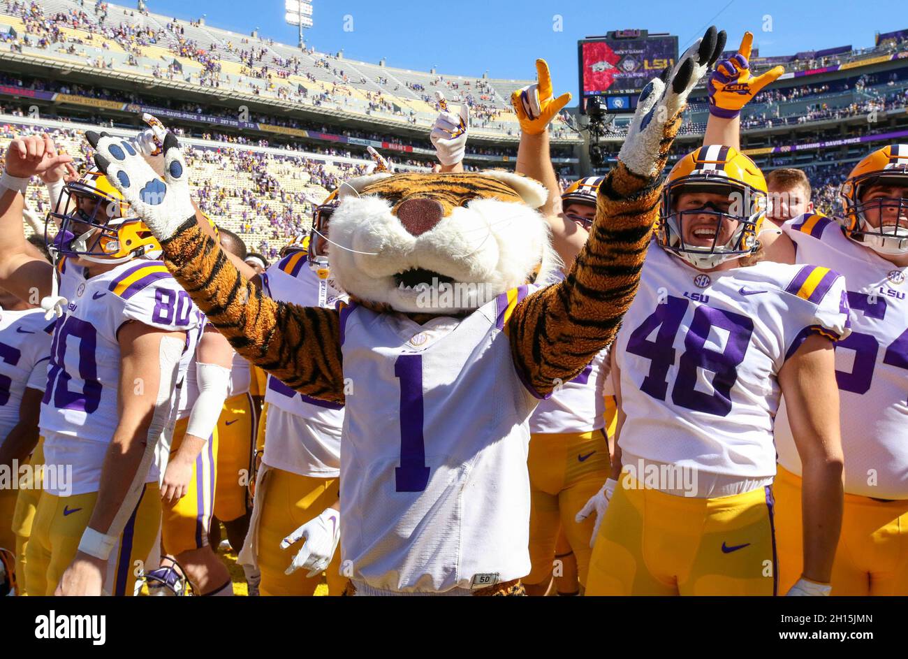 Baton Rouge, LA, USA. 16th Oct, 2021. LSU's mascot Mike the Tiger ...