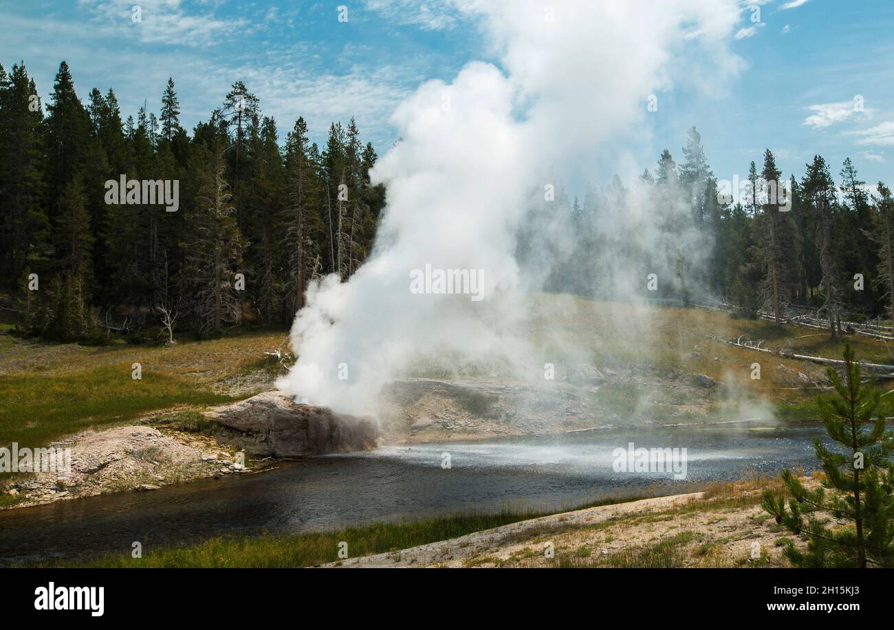 Riverside Geyser on Firehole River, Upper Geyser Basin, Yellowstone ...