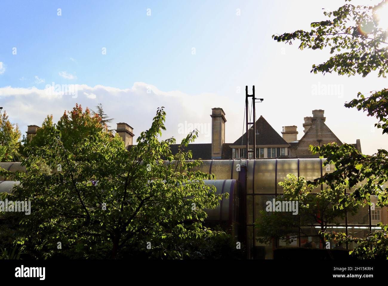 Sunny scenery hi-res stock photography and images - Alamy