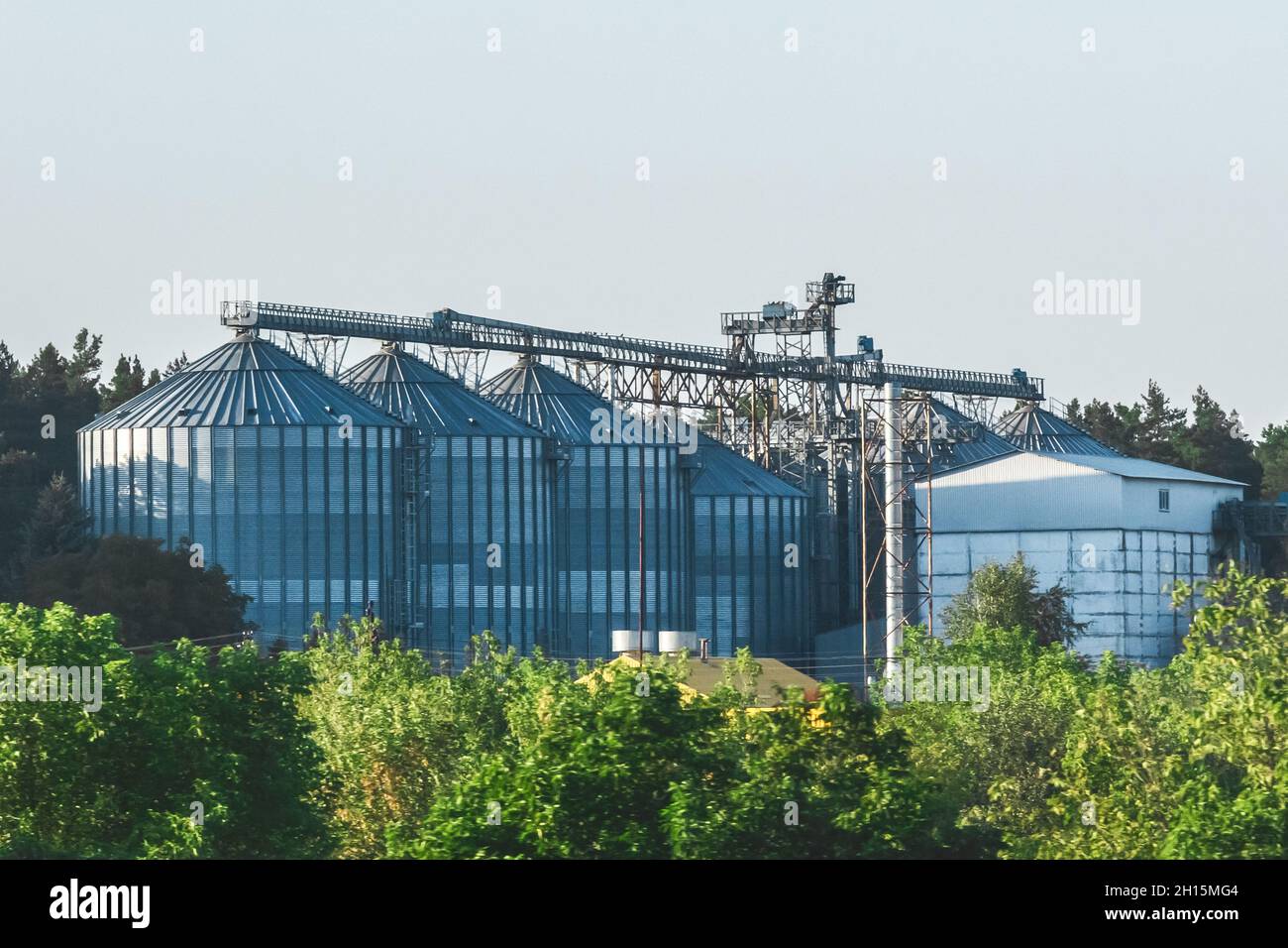 Storage of silo in an industrial tank agriculture, production of grain ...
