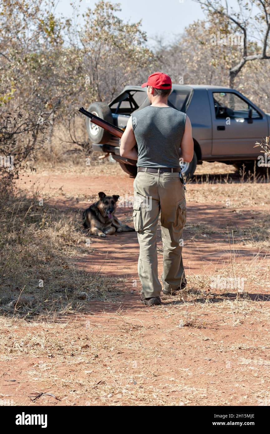 Caucasian south african hunter in the bush with his dog, riding a 4x4 ...