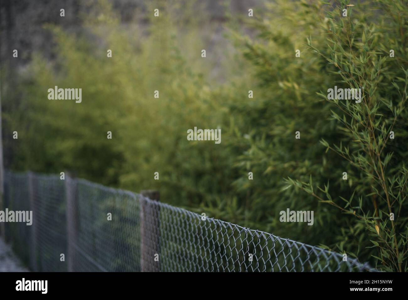 Silver fence hi-res stock photography and images - Alamy