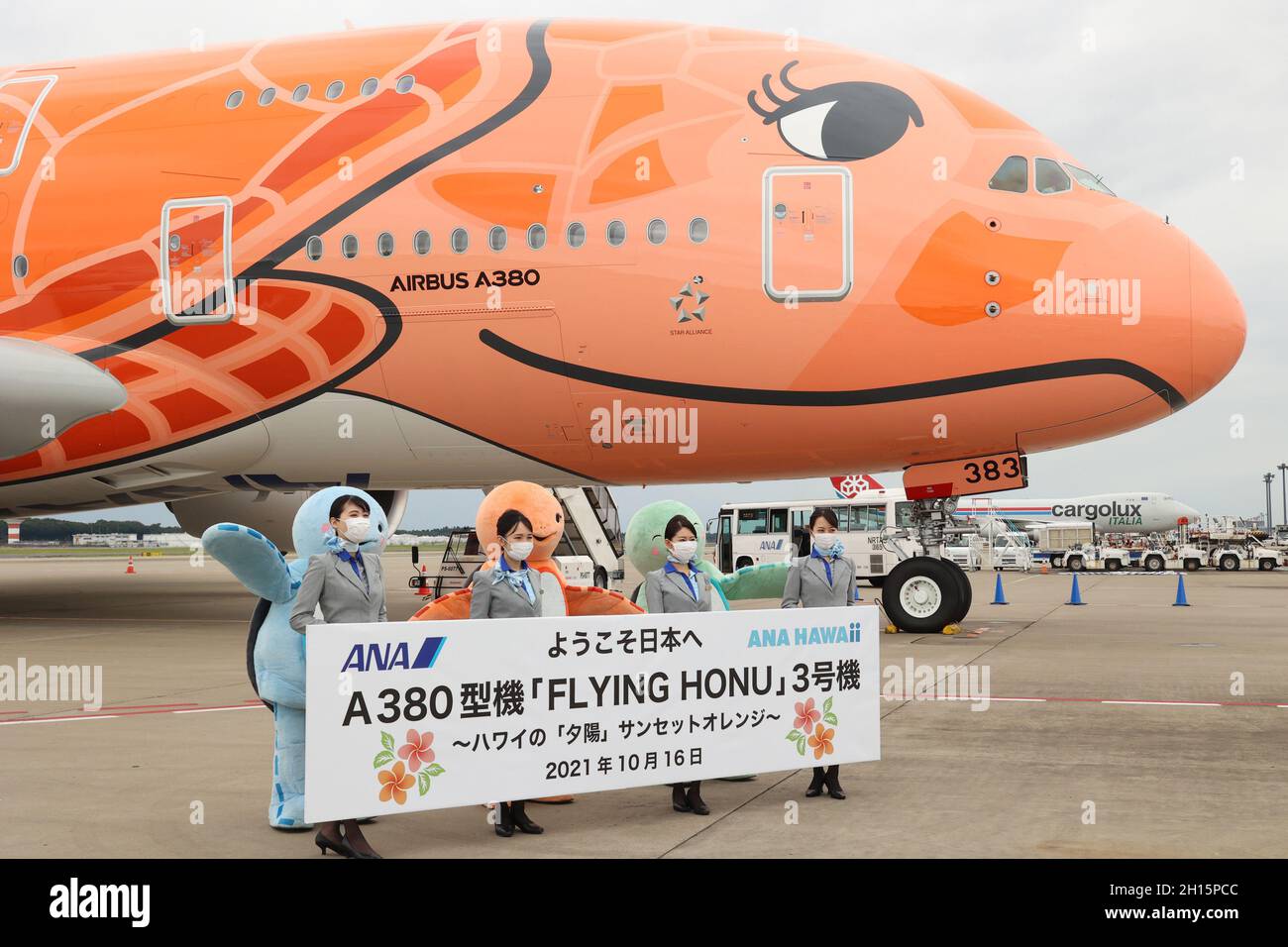 Ana turtle hi-res stock photography and images - Alamy