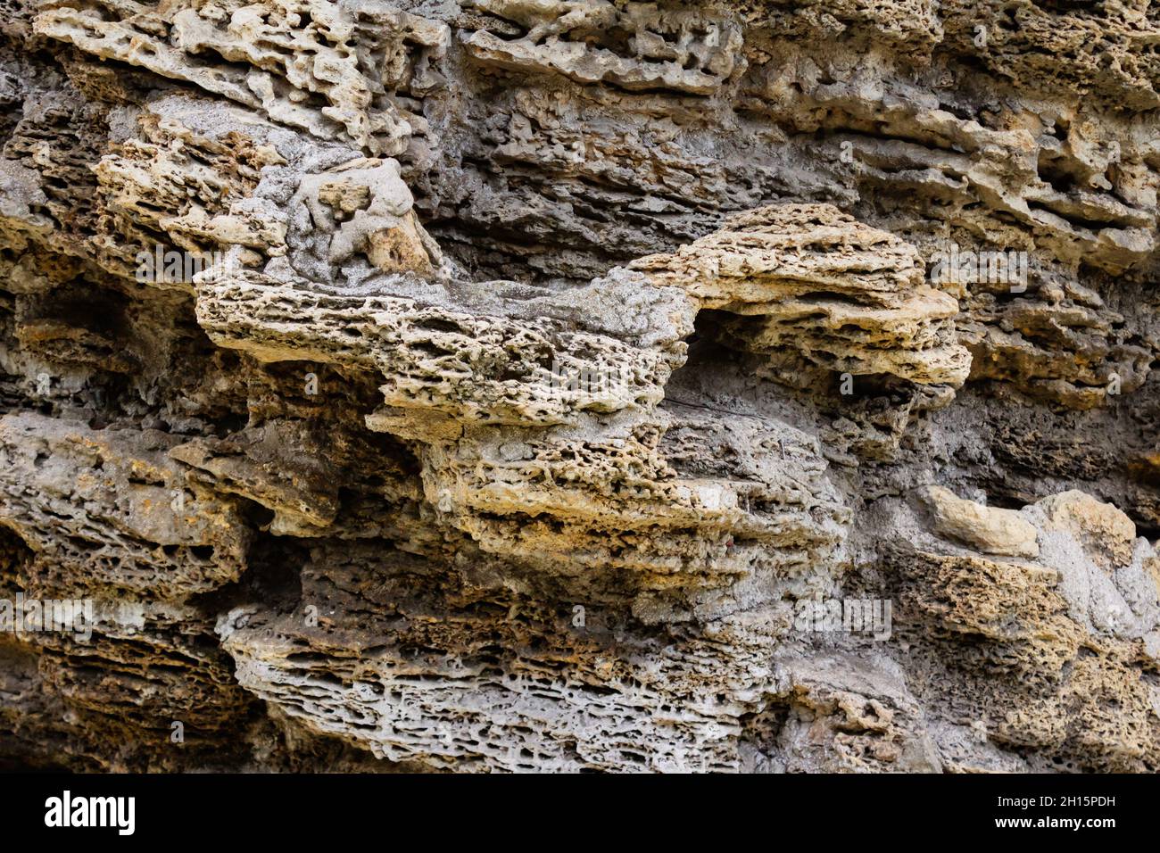 Coral stone architecture hi-res stock photography and images - Alamy