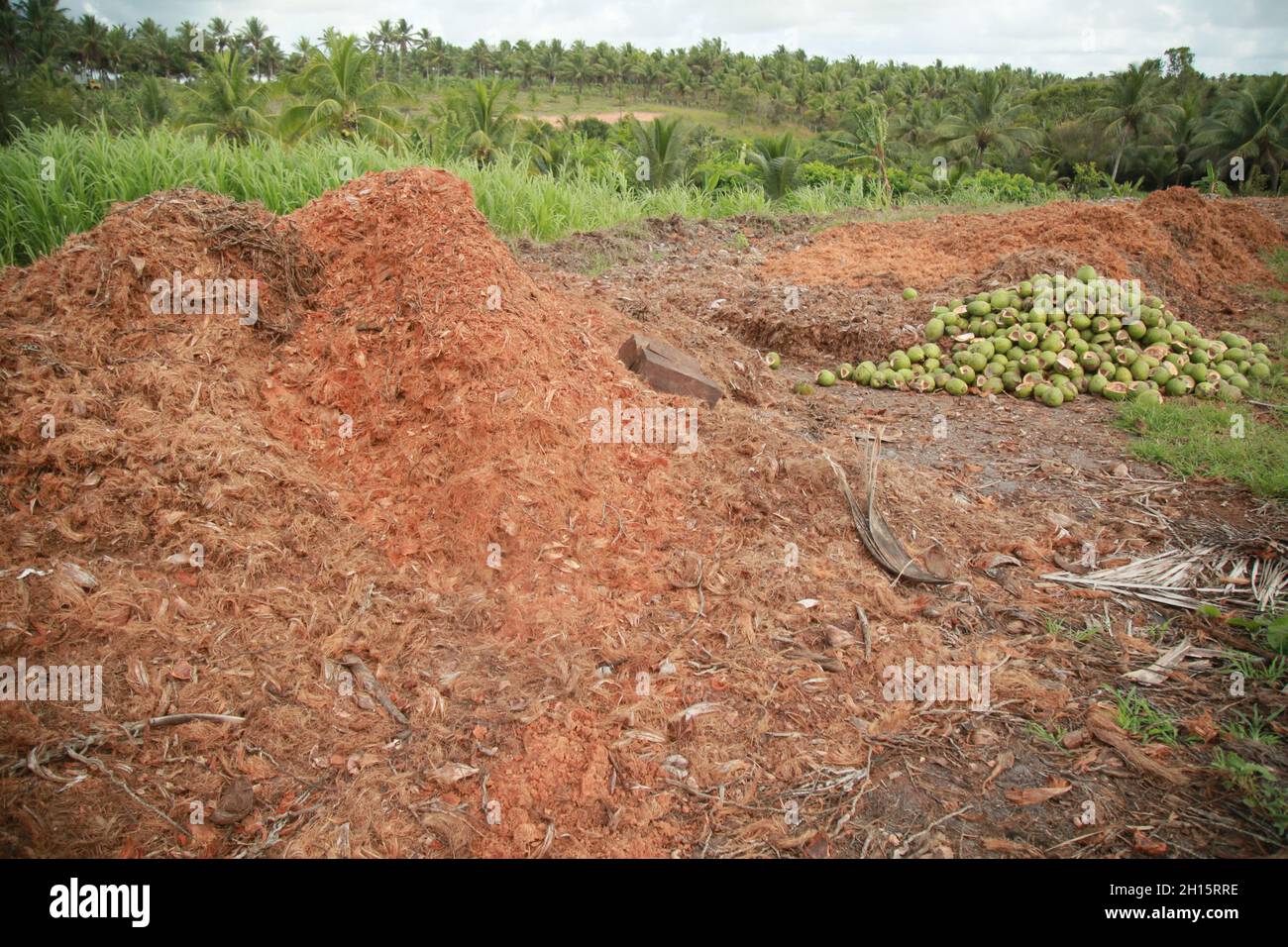 conde, bahia, brazil - october 6, 2021: composting area made with ...
