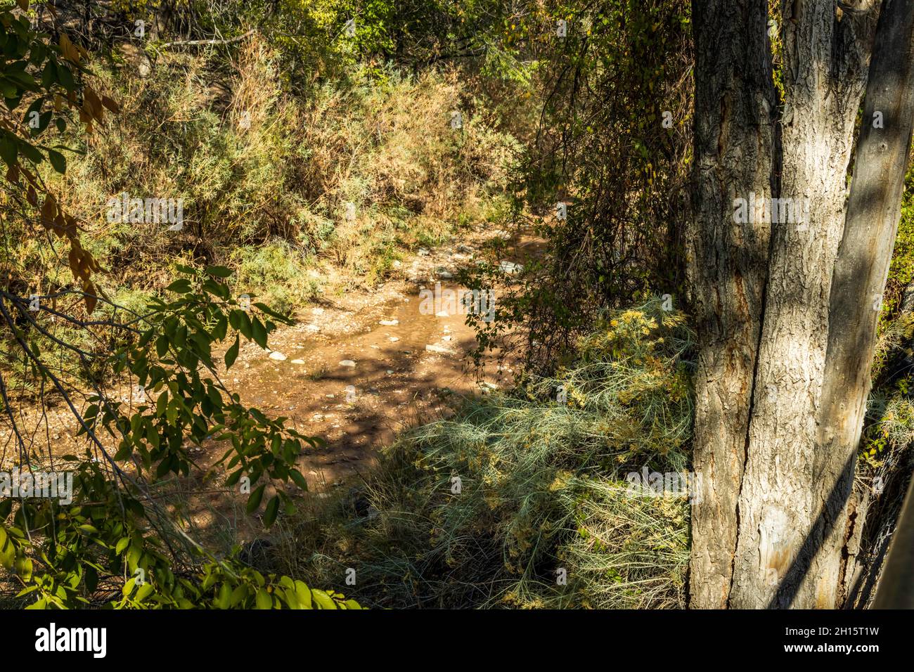 The Santa Fe river flows through the wilderness Stock Photo - Alamy
