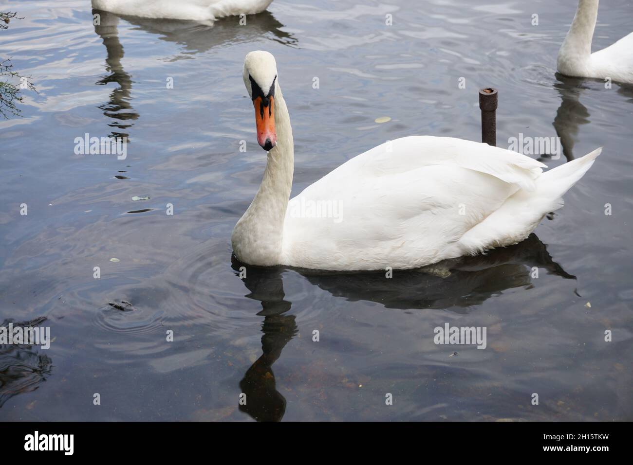 Hendon place hi-res stock photography and images - Alamy