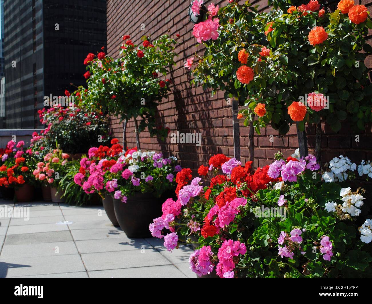 New york city gardening hi-res stock photography and images - Alamy