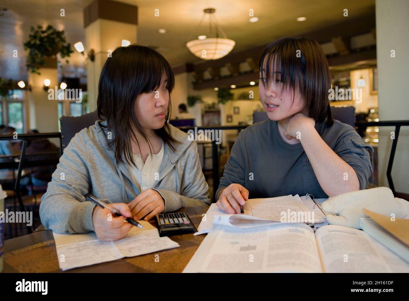 Chinese students do homework in cmapus cafe MR - Model Released Stock ...