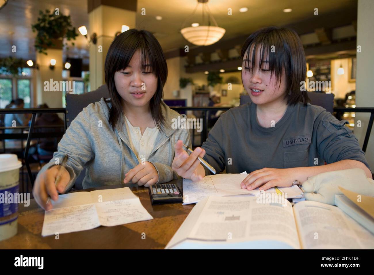 Chinese students do homework in campus cafe MR - Model Released Stock ...