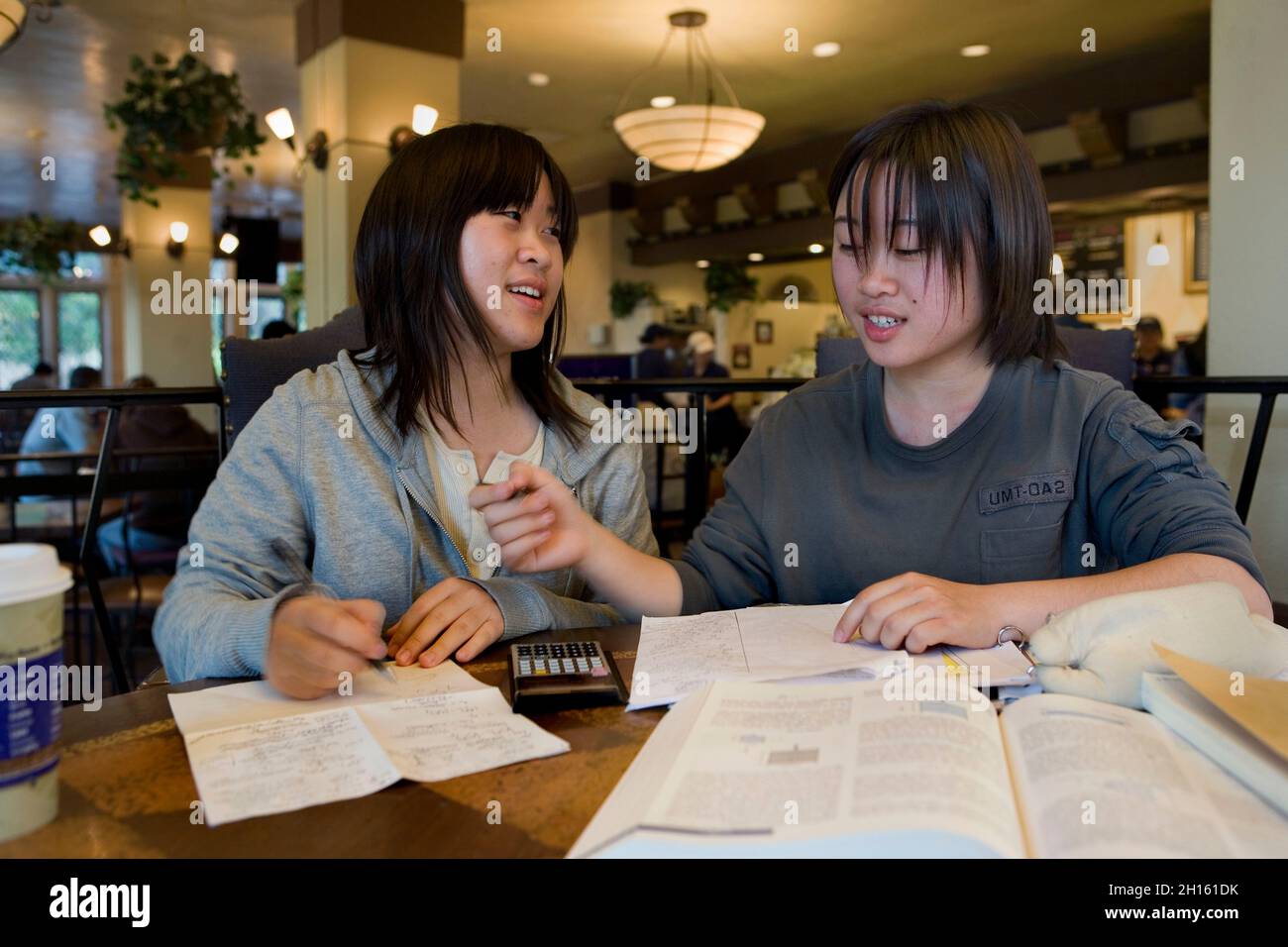 Chinese students do homework in campus cafe MR - Model Released Stock ...