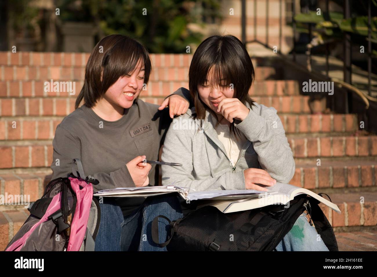 Chinese students do homework on campus MR - Model Released Stock Photo ...