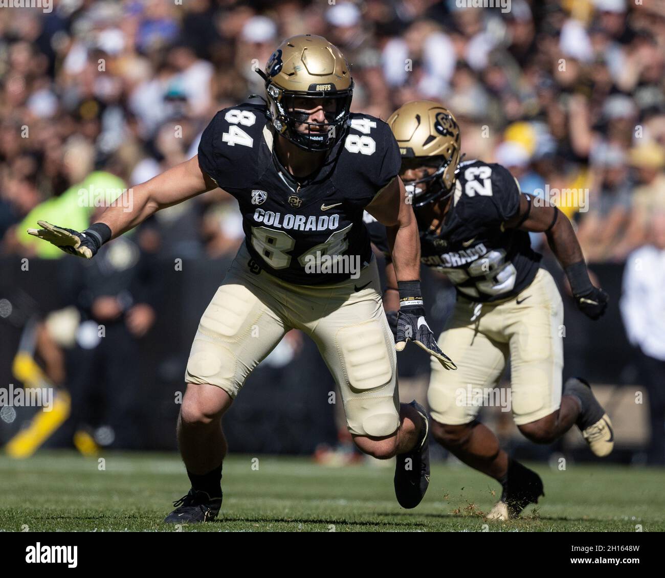 Matt lynch hi-res stock photography and images - Alamy