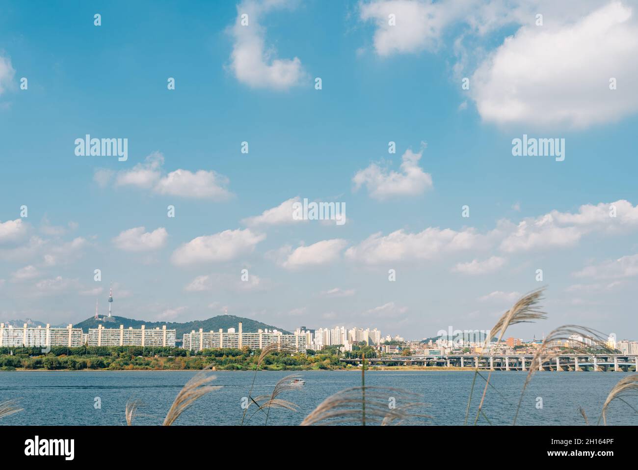 Seoul city view from Banpo Han river park in Korea Stock Photo - Alamy