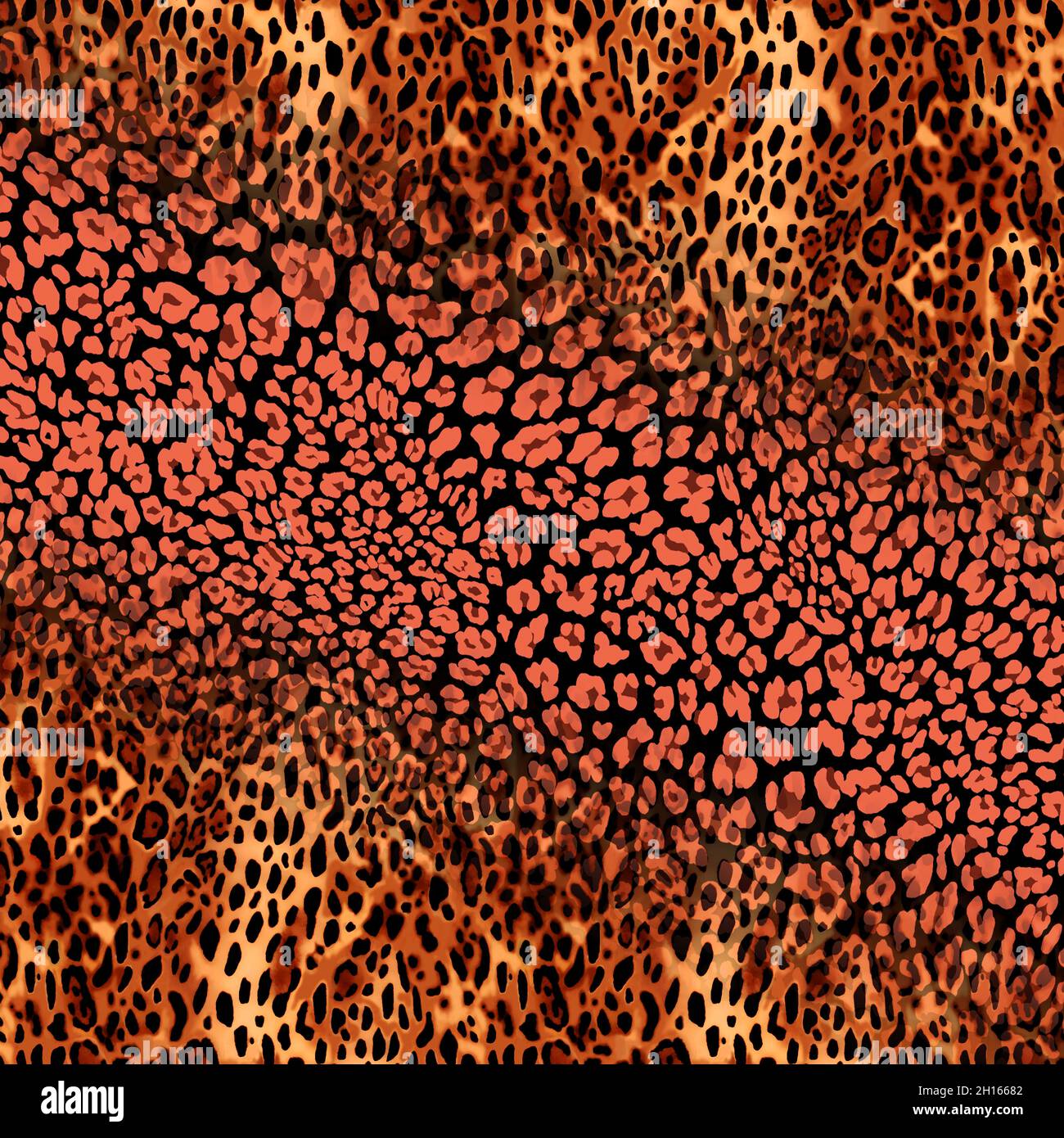 Colorful Pattern Study, Leopard, Zebra, Camouflage and Dress Designs ...