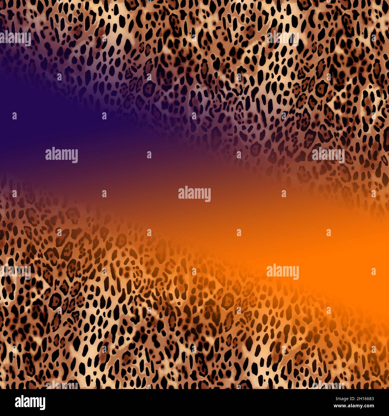 Colorful Pattern Study, Leopard, Zebra, Camouflage and Dress Designs ...