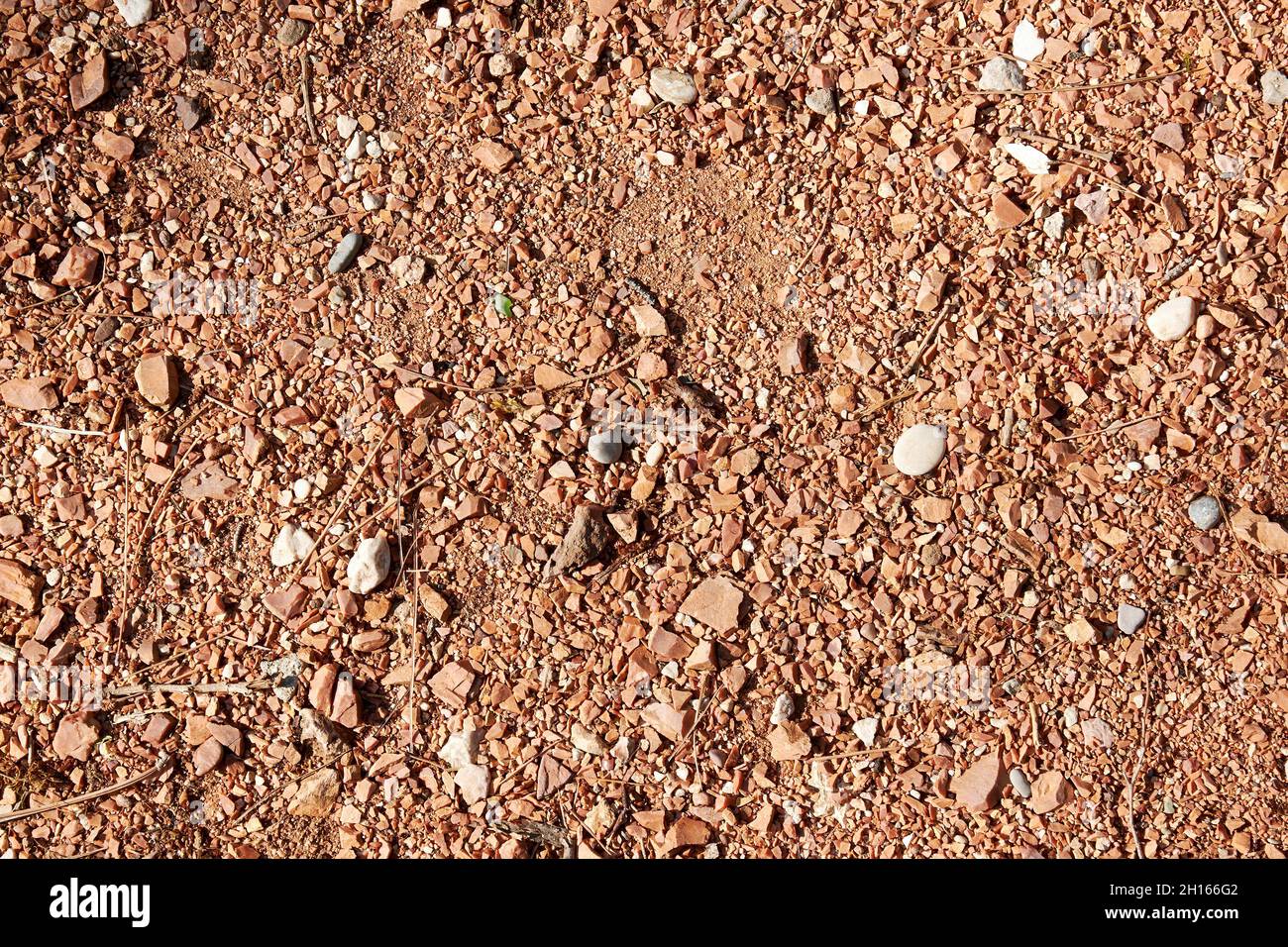 Red dirt ground texture with small pebbles. Abstract backgrounds Stock ...