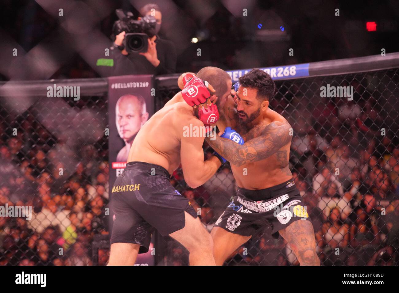 Henry Corrales High Resolution Stock Photography and Images - Alamy