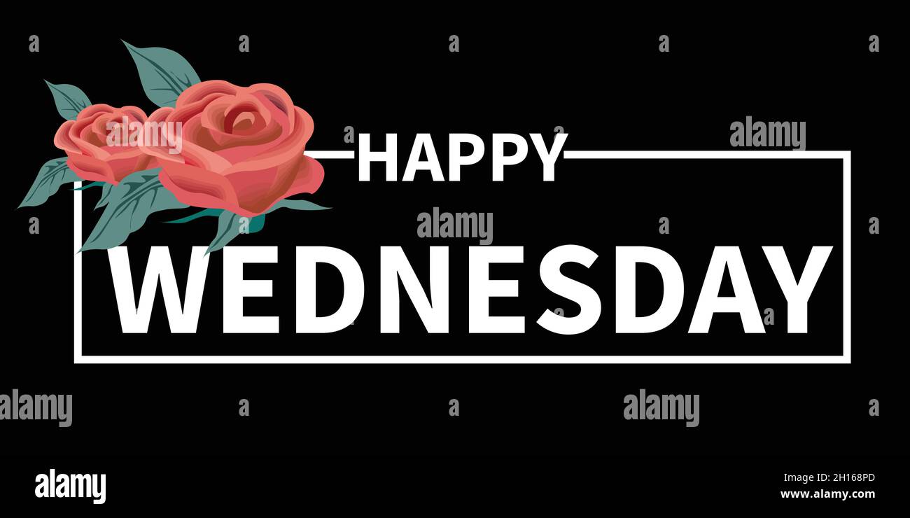 Decorative Happy Wednesday Vector design. Creative Typography design ...