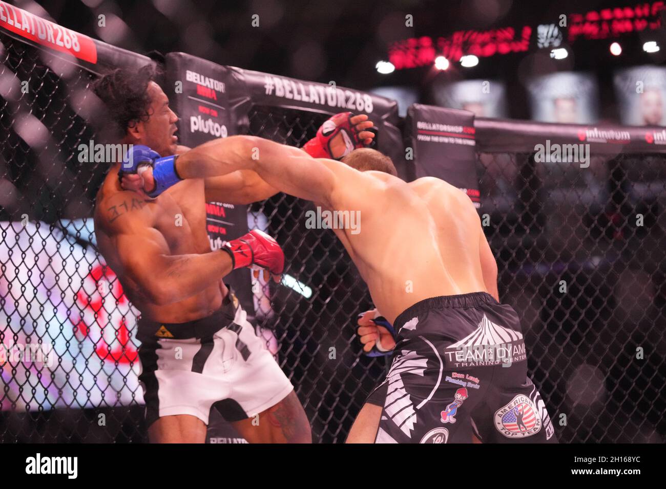 Henry Corrales High Resolution Stock Photography and Images - Alamy